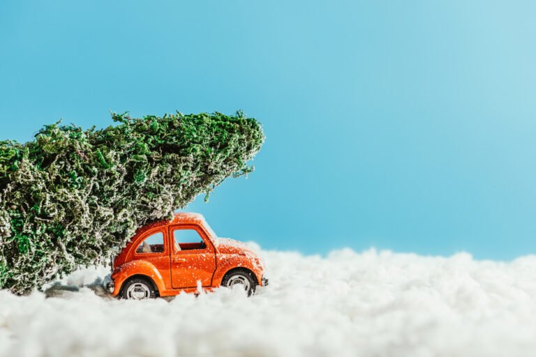 Car Service Costs 2026: Prices by Brand, What's Included and How to ...